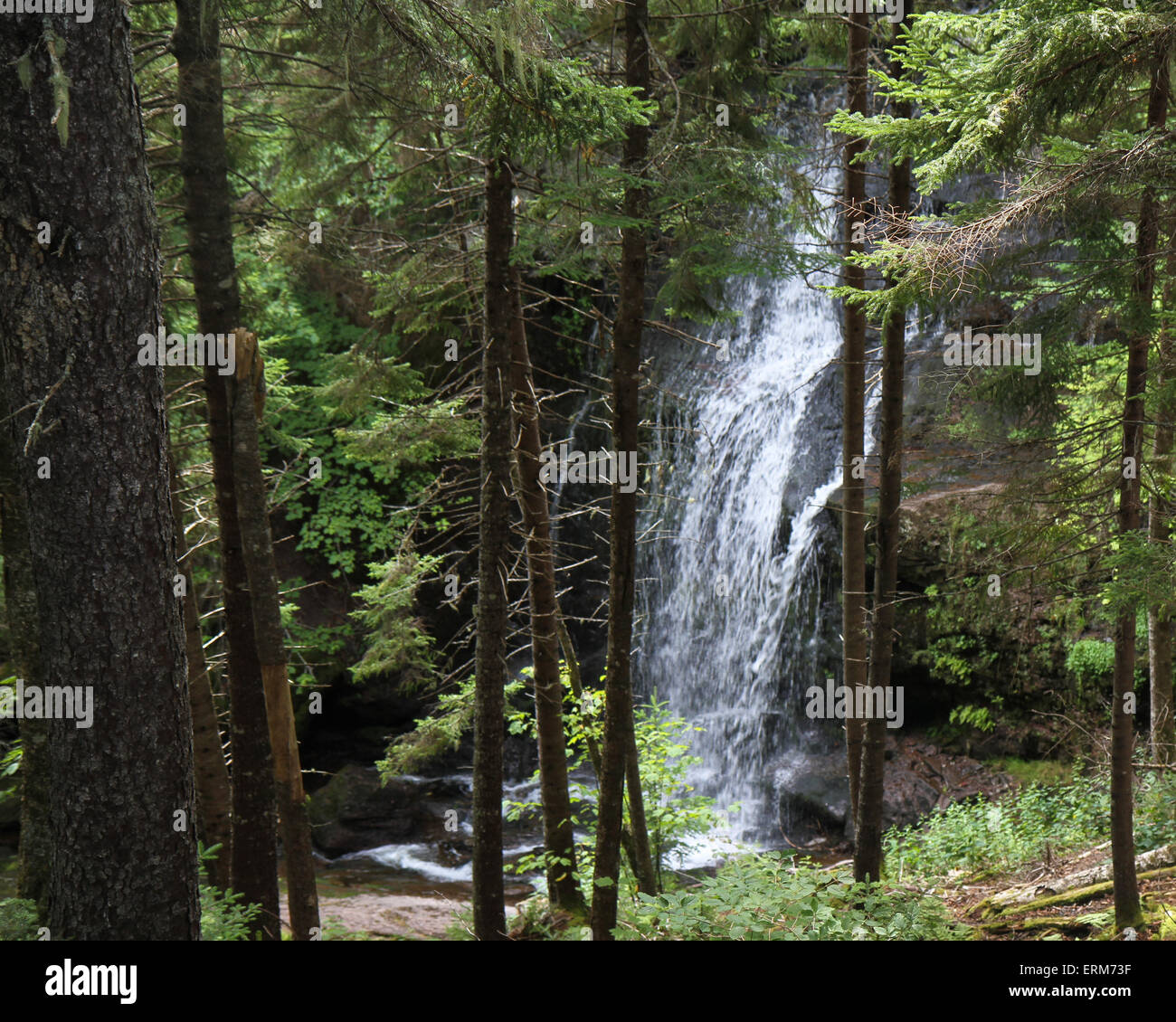Fuller Falls High Resolution Stock Photography and Images - Alamy