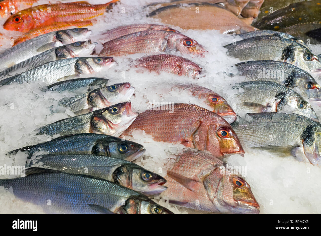 Different kinds of fish are sold at the market Stock Photo - Alamy