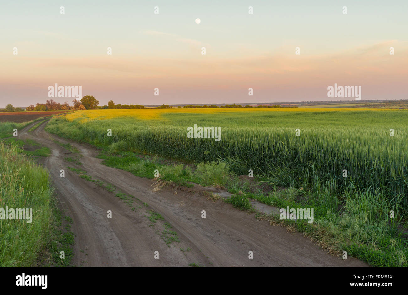 Ukrainian rural landscape with full moon at evening time Stock Photo ...