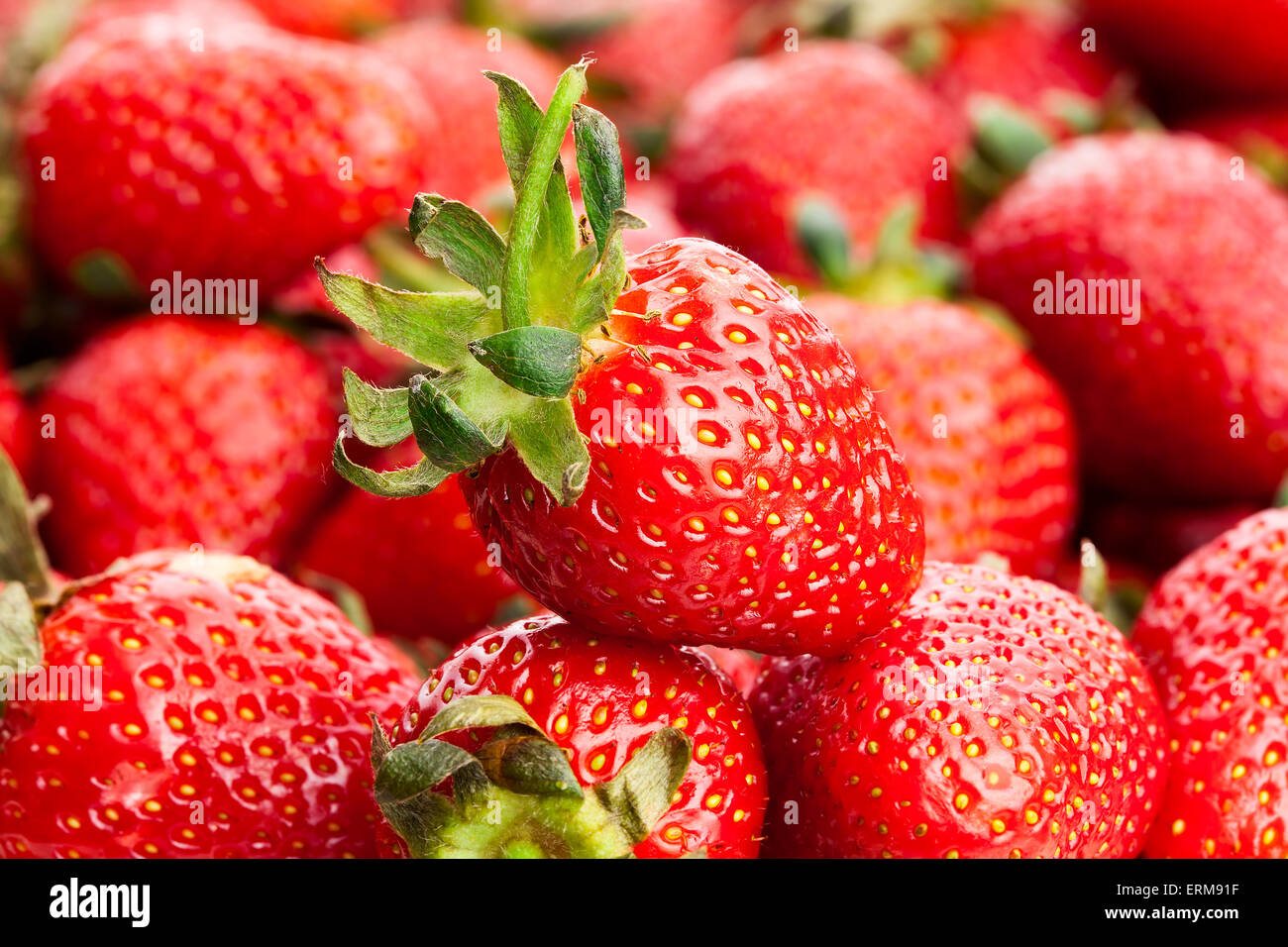 strawberry macro closeup Stock Photo - Alamy