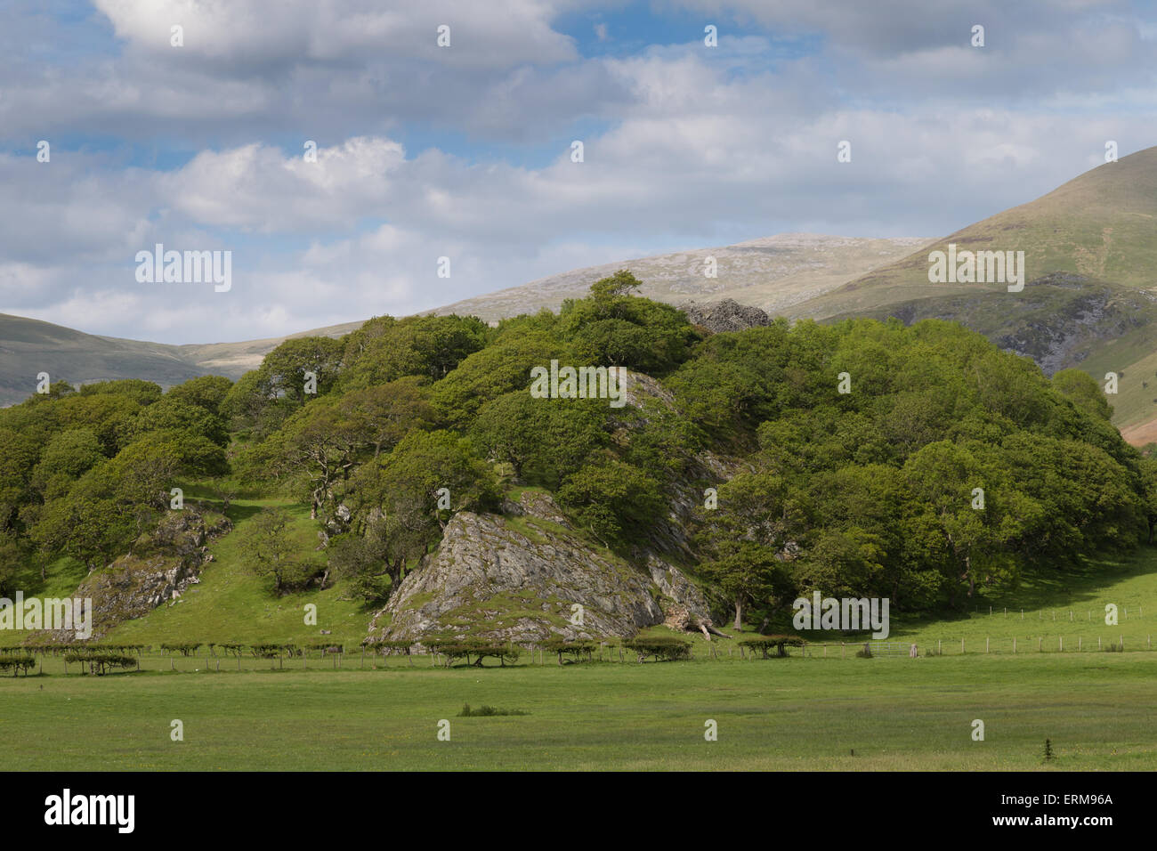 Castell y Bere - Bere Castle in Snowdonia. The castle was built by the ...
