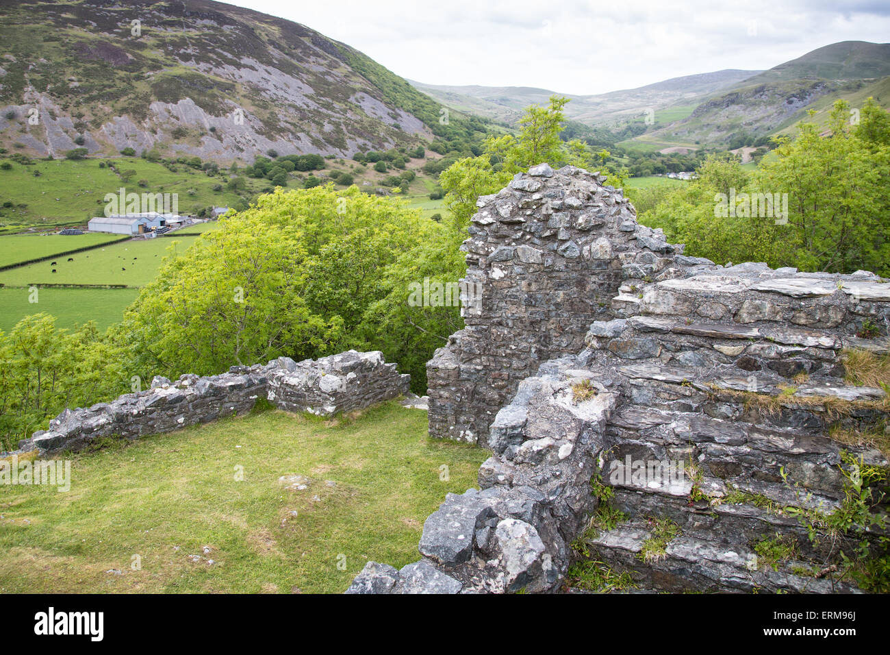 Gruffydd Ap Llywelyn High Resolution Stock Photography and Images - Alamy