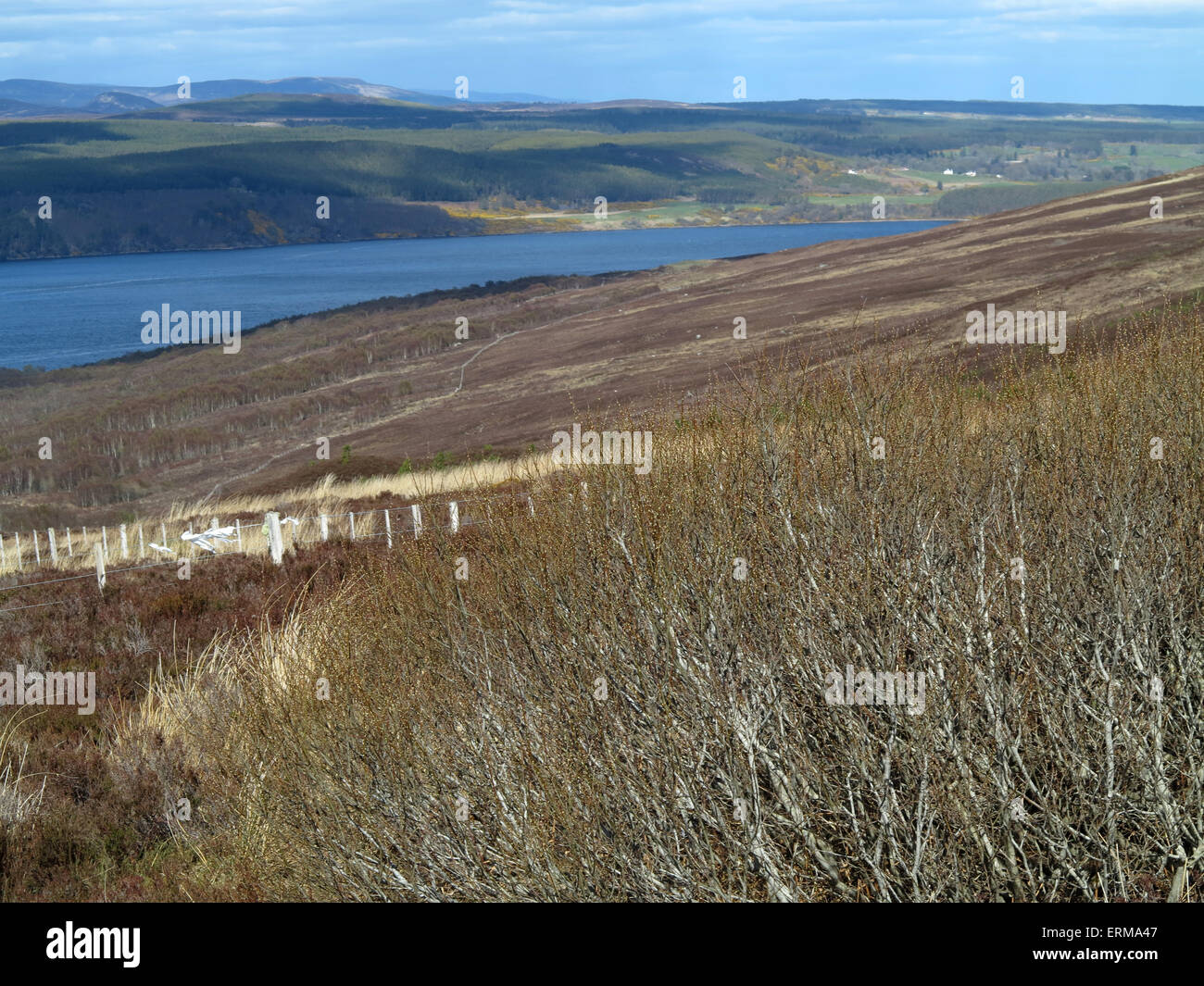Struie viewpoint hi-res stock photography and images - Alamy