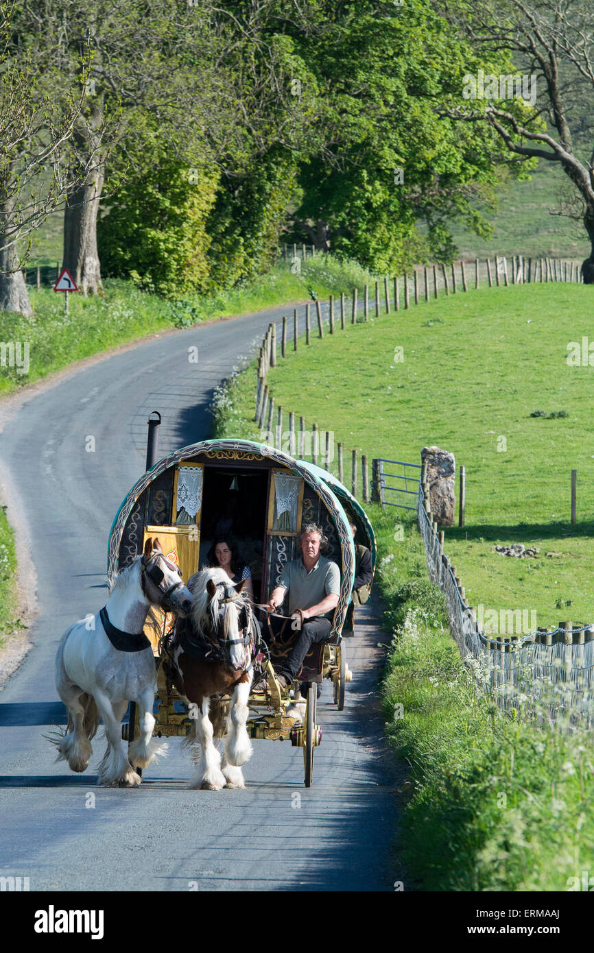 Appleby, Cumbria, UK. 04th June, 2015. Horse drawn caravans heading ...