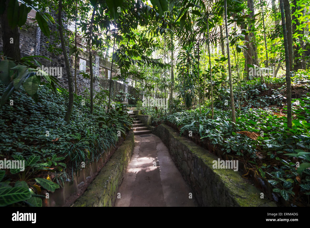 Gardens of the Ullen Sentalu Museum, Central Java, Indonesia Stock ...