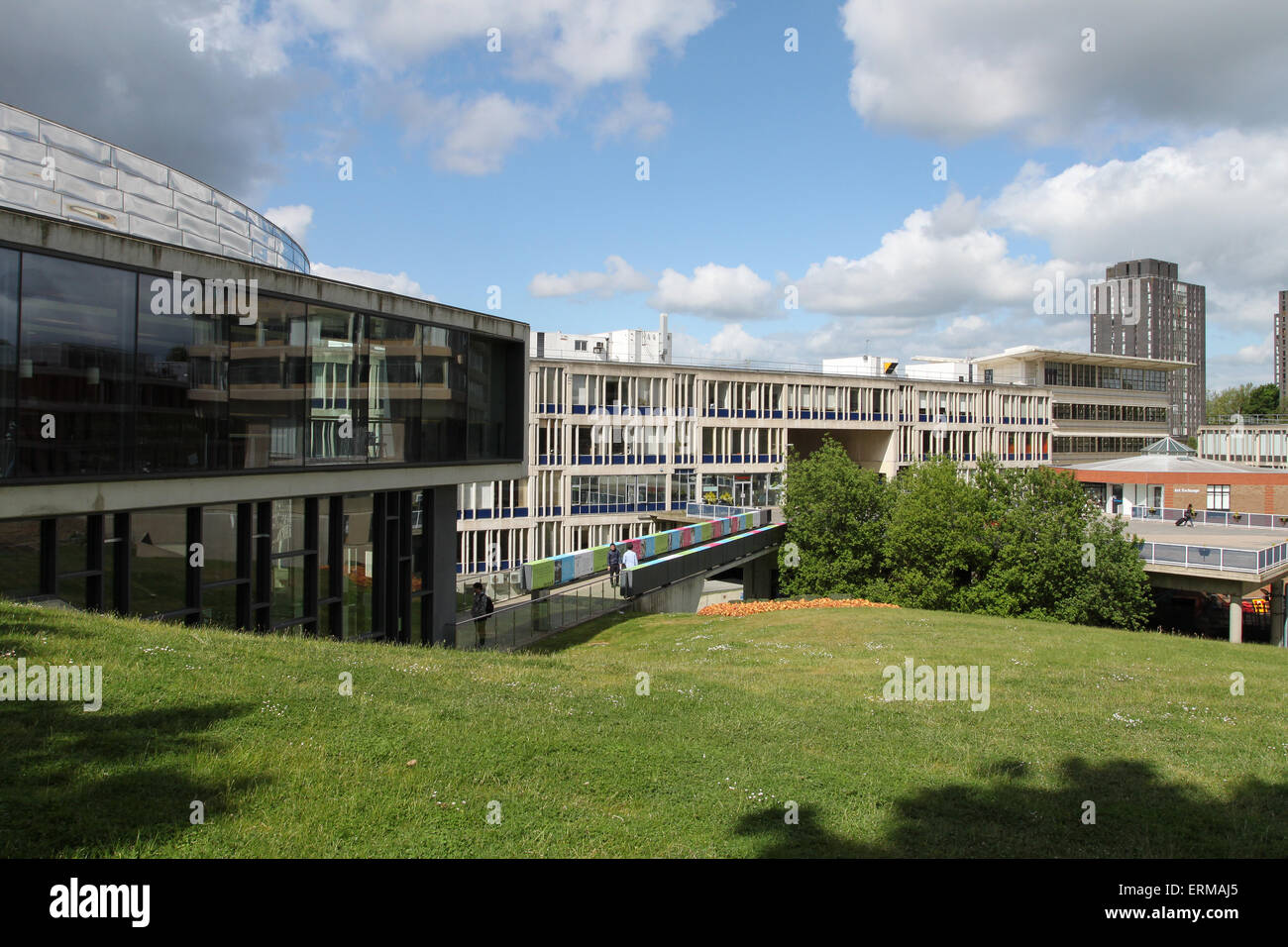 Faser Essex University