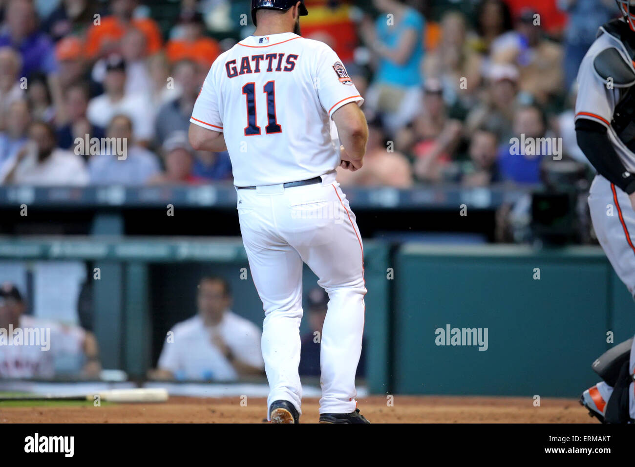 Houston, TX, USA. 04th June, 2015. Houston Astros designated hitter ...