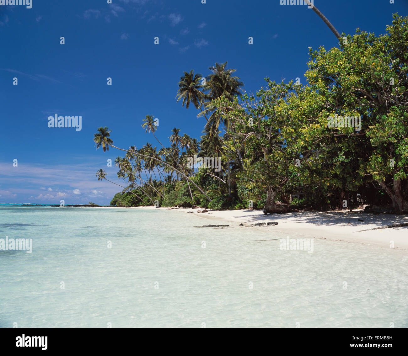 Virgin Cove Beach; Uplou Island, Samoa Stock Photo - Alamy