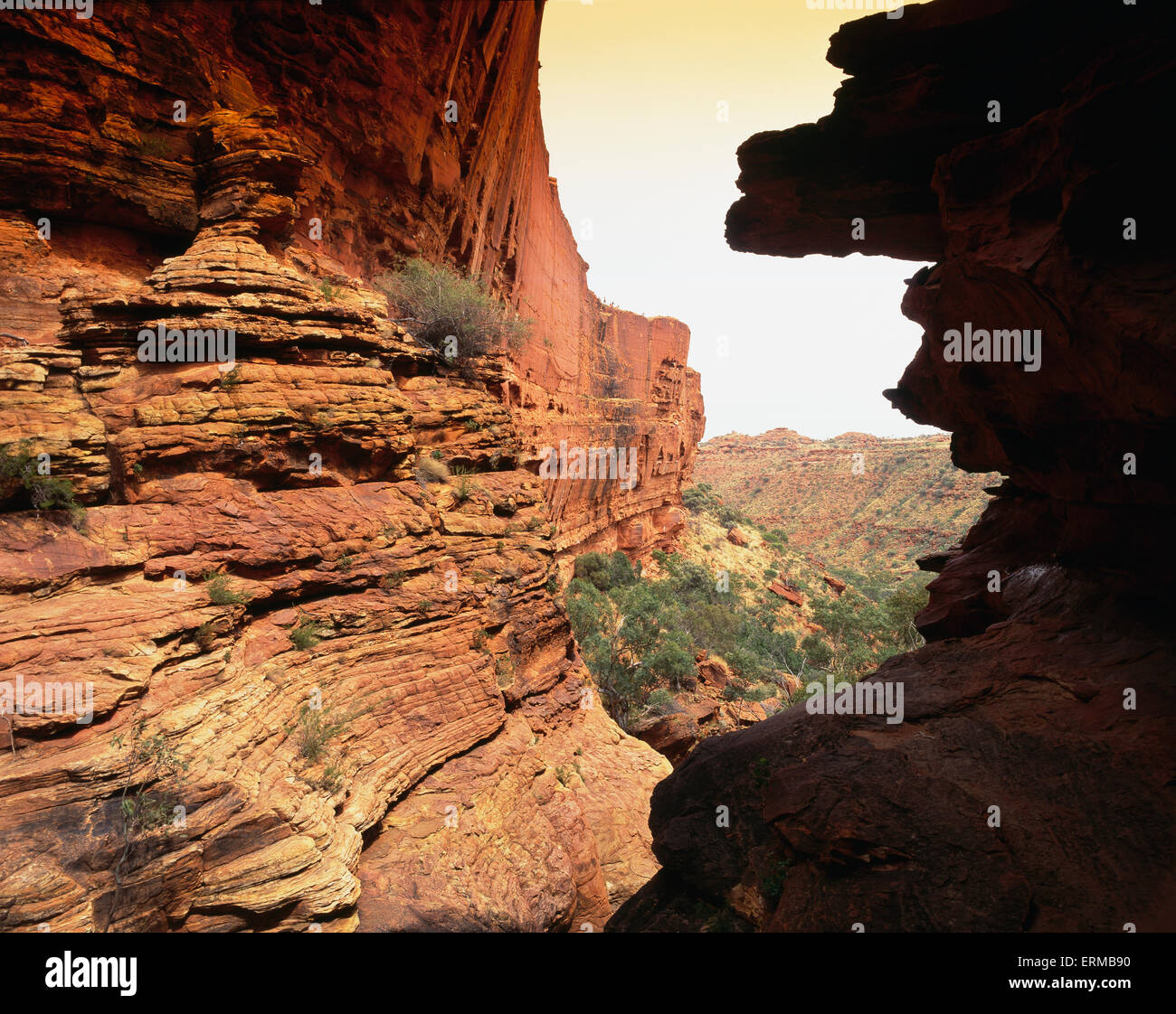 Kings Canyon; Northern Territory, Australia Stock Photo - Alamy Kings Canyon; Northern Territory, Australia Stock Photo - Alamy