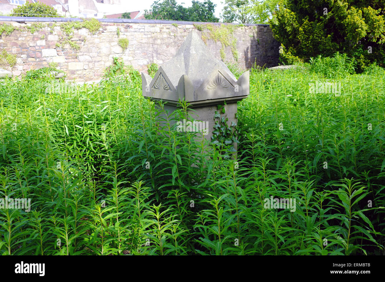 The top of a tombstone in an overgrown graveyard in Bristol Stock Photo ...