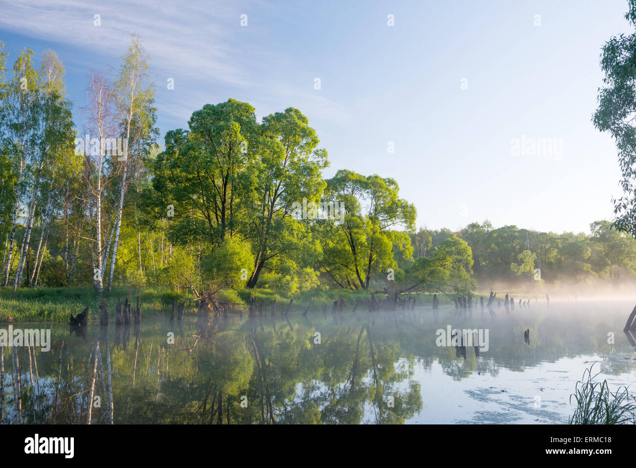 Sunny rays in river hi-res stock photography and images - Alamy