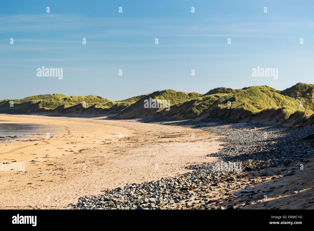 Grass covered sand dunes along beach with blue sky, near Doonbeg ...