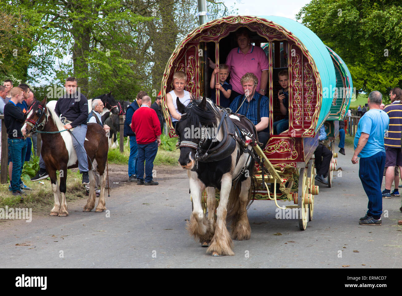 Romany gypsies uk 2015 hi-res stock photography and images - Alamy