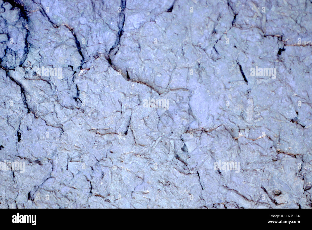 Worm track fossils and grand canyon hi-res stock photography and images ...