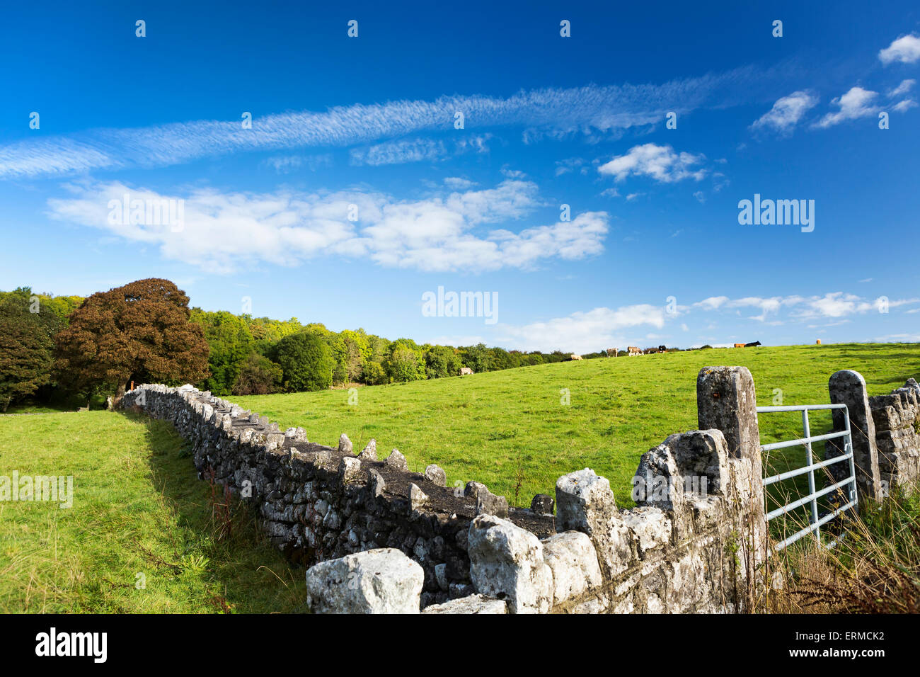 Kilrush ireland hi-res stock photography and images - Alamy