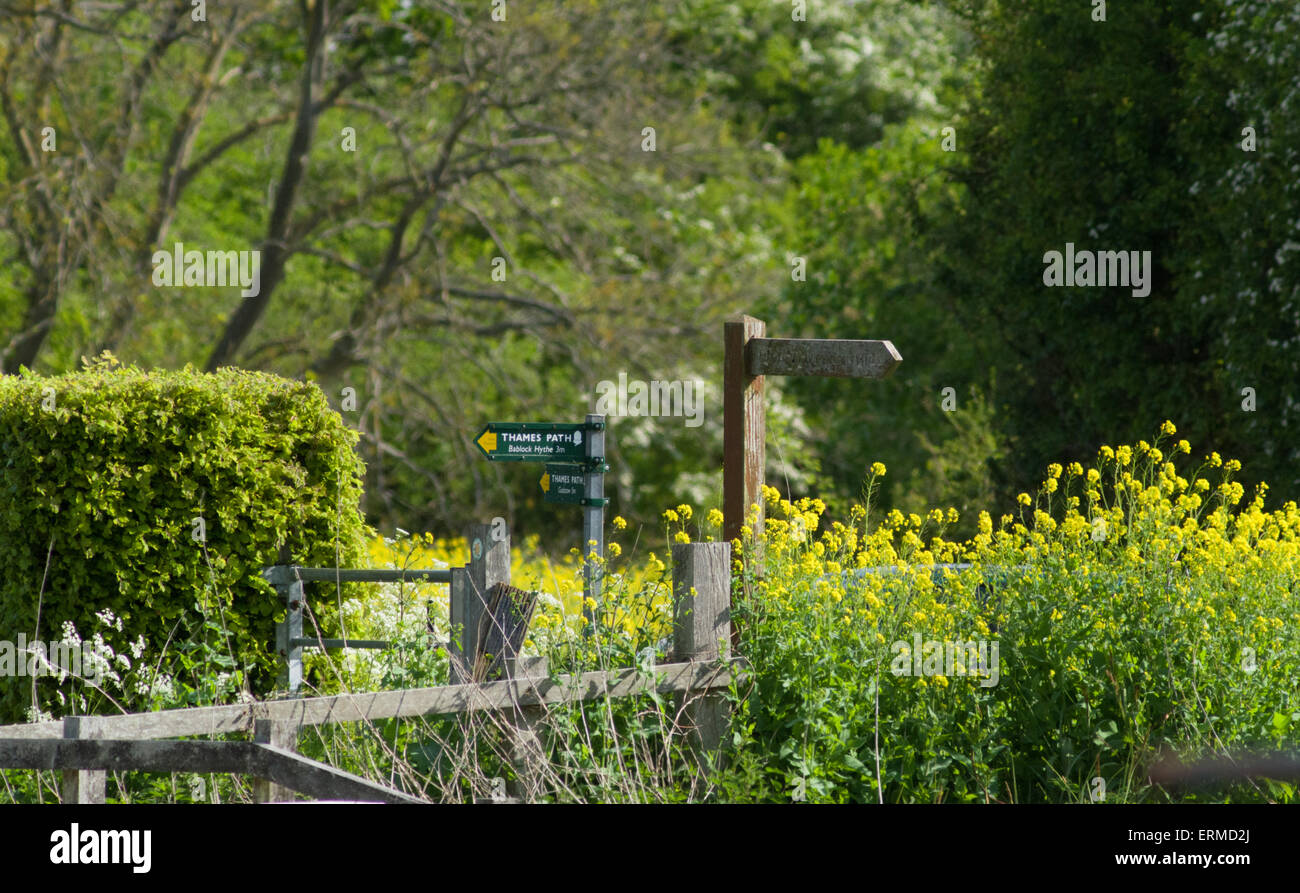 Thames Path - West Oxfordshire Stock Photo - Alamy