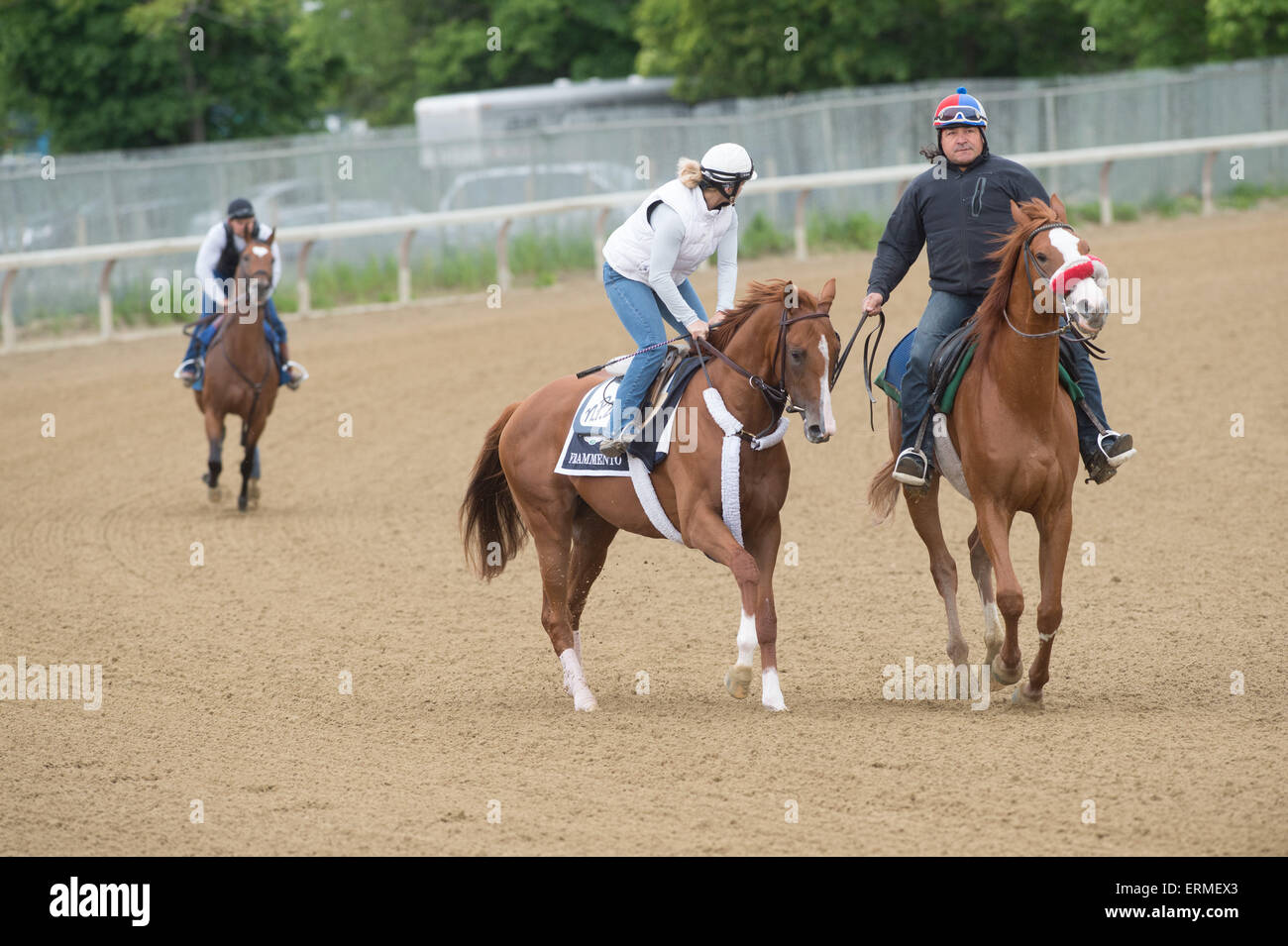 Elmont, New York, USA. 4th June, 2015. 2015 Belmont Stakes contender ...
