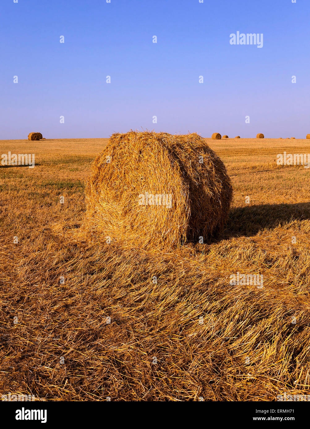 Cer circle hi-res stock photography and images - Alamy