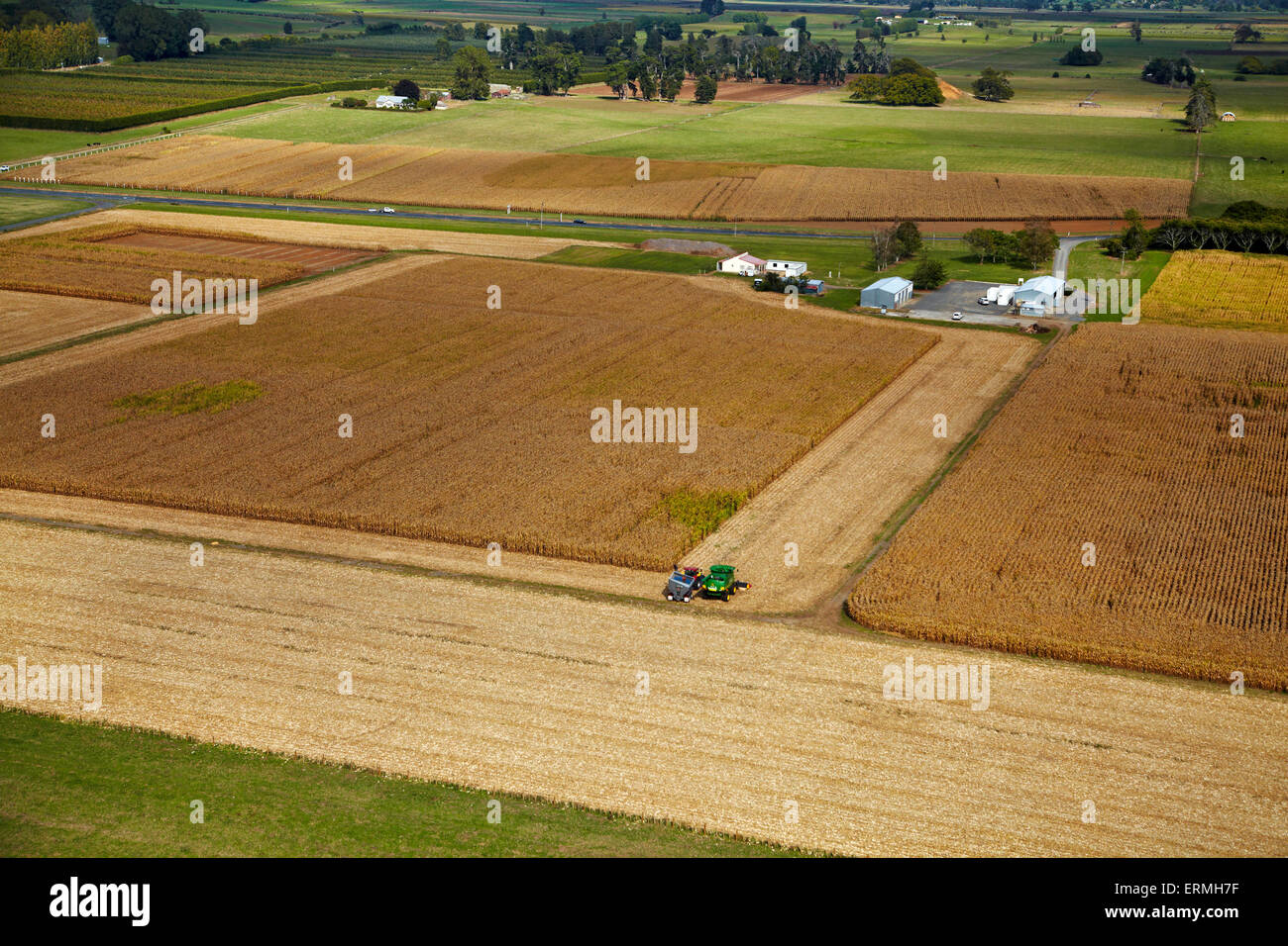 Farm crops, Rukuhia, near Hamilton, Waikato, North Island, New Zealand ...
