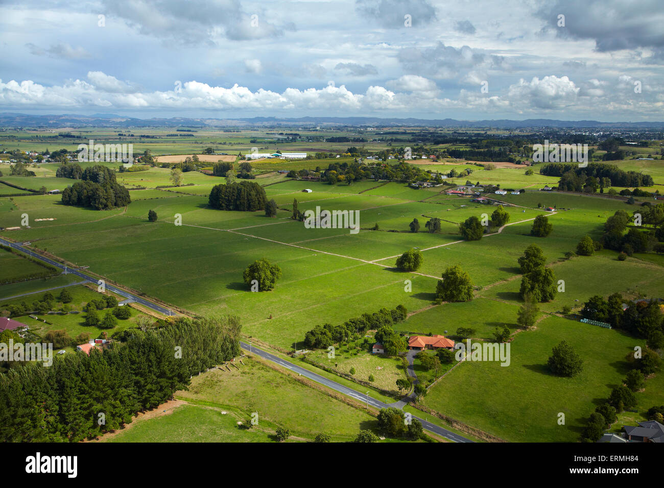 Farmland, Rukuhia, near Hamilton, Waikato, North Island, New Zealand ...