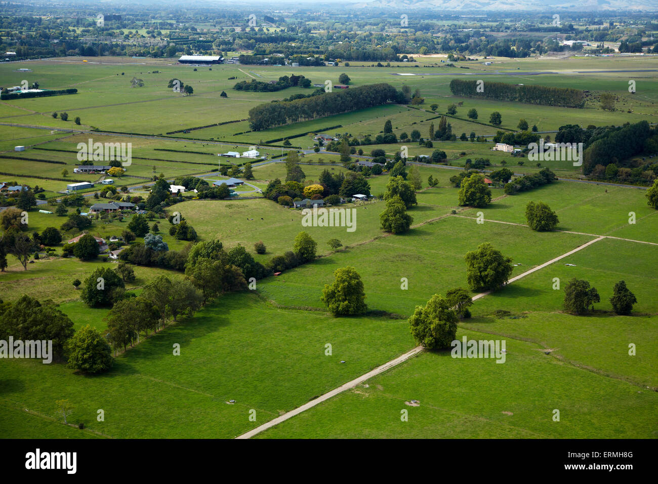 Rukuhia hi-res stock photography and images - Alamy