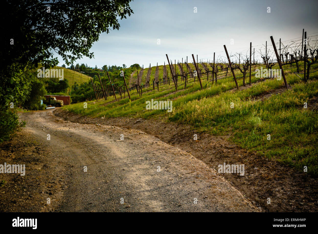 Rural hillside country road hi-res stock photography and images - Alamy