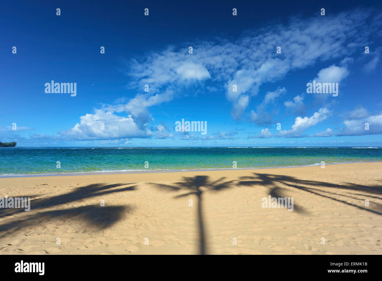 Shadows of palm trees on Tunnels Beach; Kauai, Hawaii, United States of ...