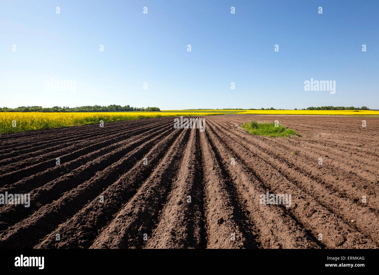 Harrow h hi-res stock photography and images - Alamy