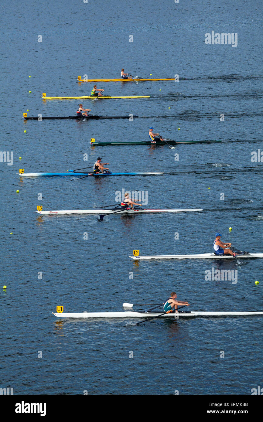 Single scullers on Lake Karipiro, Waikato, North Island, New Zealand ...