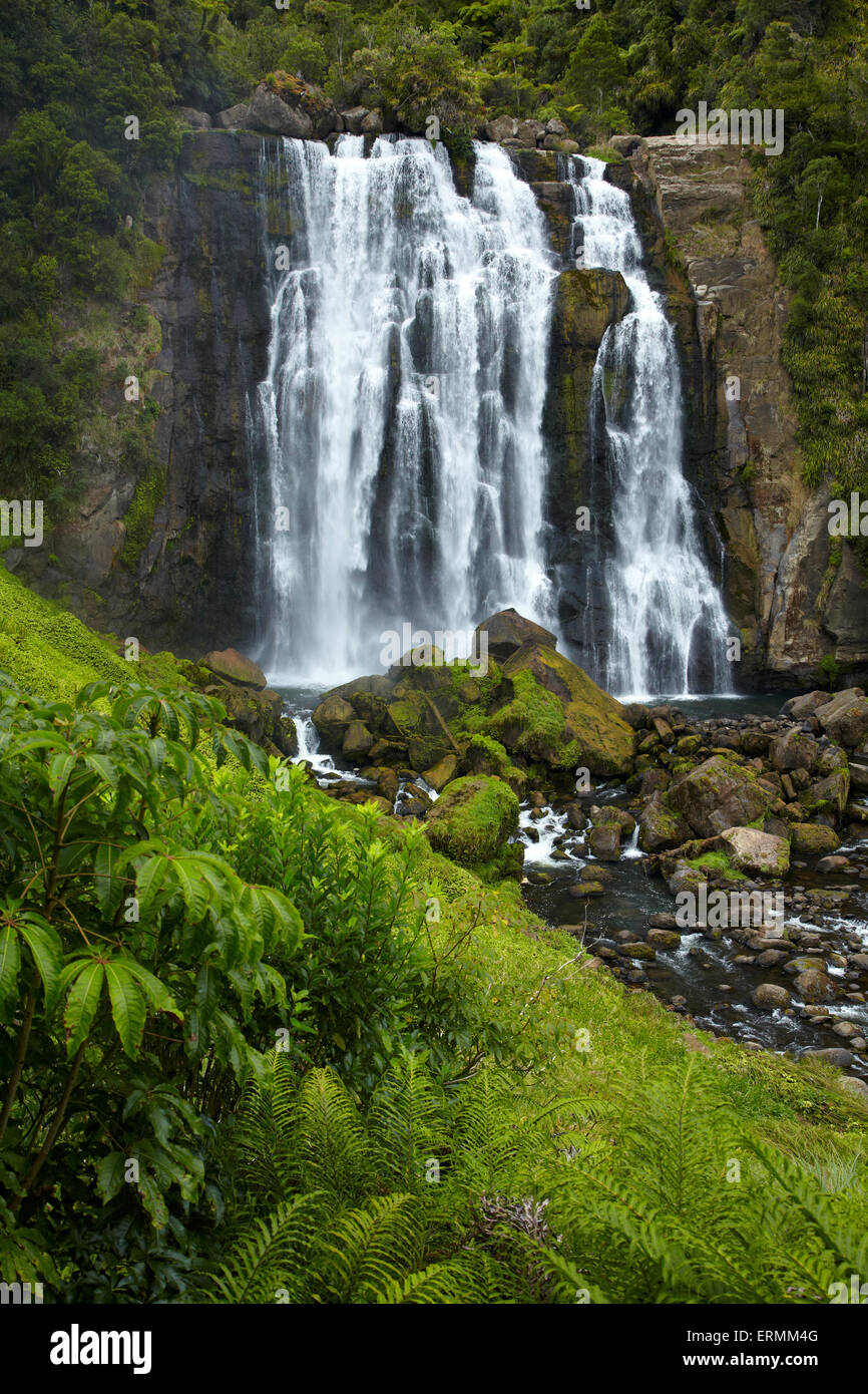 Marokopa Falls, Waitomo District, Waikato, North Island, New Zealand ...