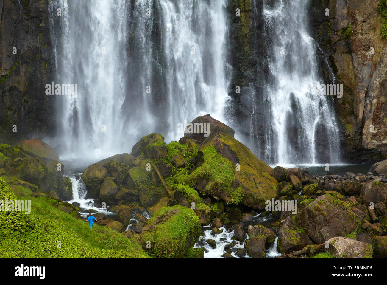 Marokopa Falls, Waitomo District, Waikato, North Island, New Zealand ...