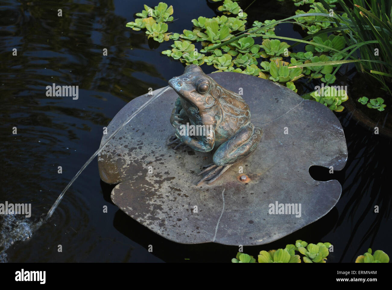 Frog statue hi-res stock photography and images - Alamy