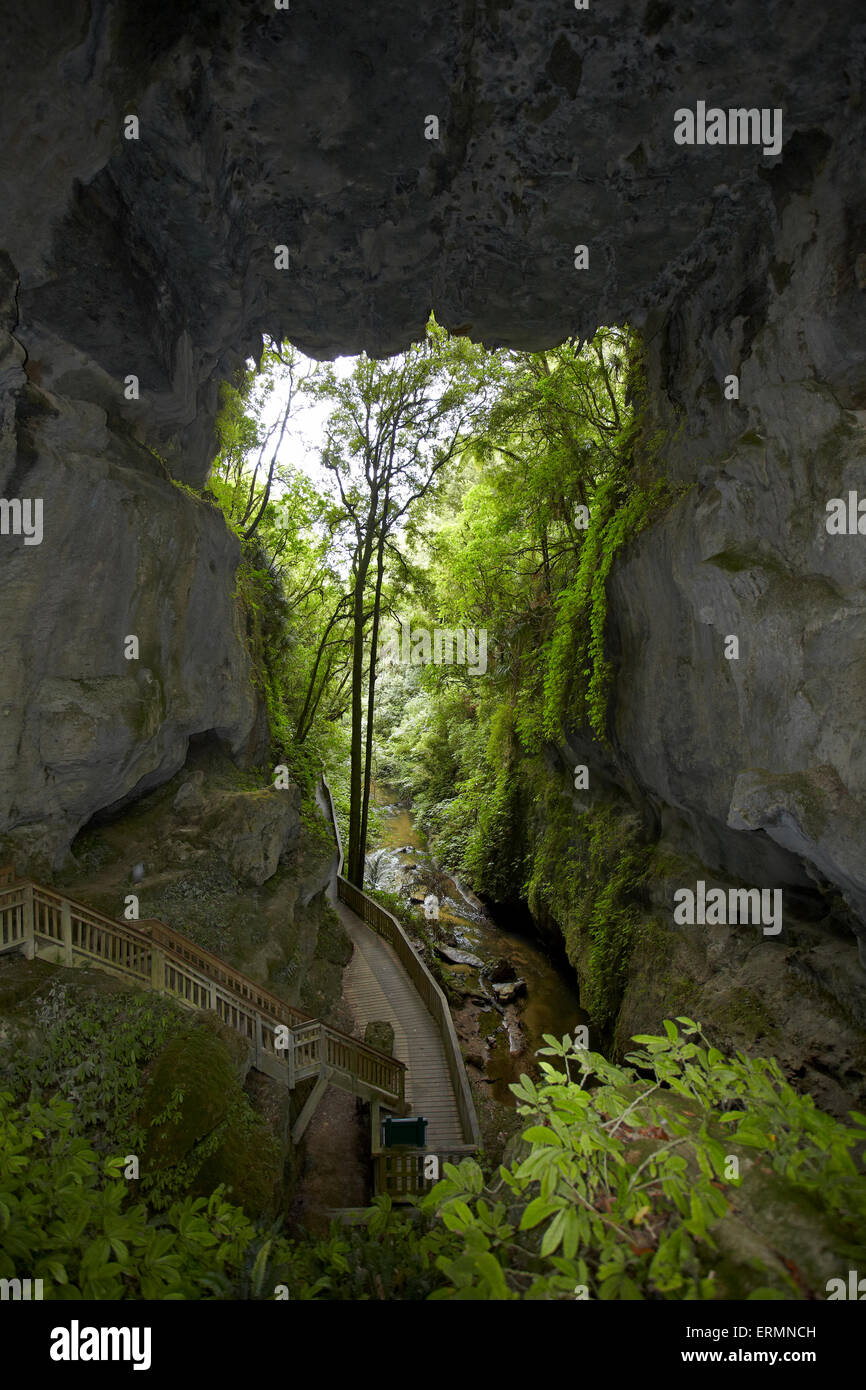 Waitomo cave waitomo cave hi-res stock photography and images - Alamy