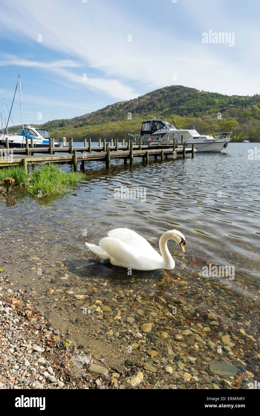 Newby Bridge Lake District Cumbria England Uk High Resolution Stock ...