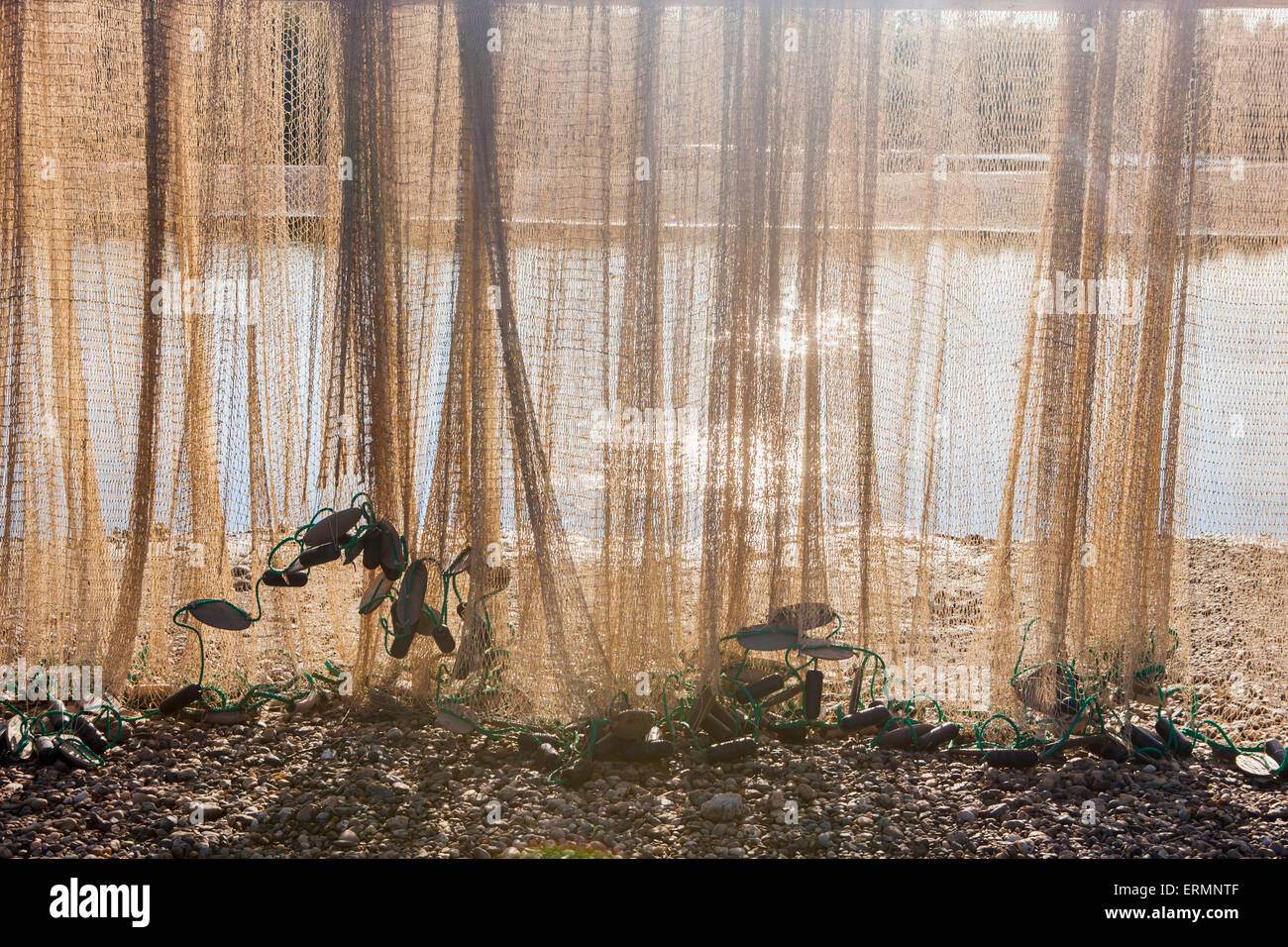 Fishing net hanging to dry along the Kobuk River, Shungnak, Arctic ...