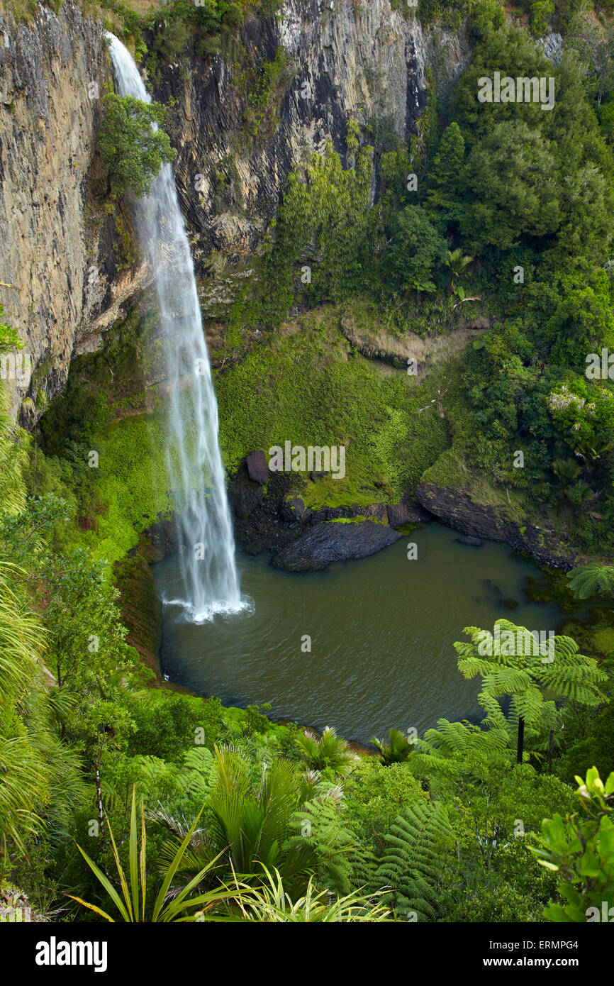 Waireinga falls hi-res stock photography and images - Alamy