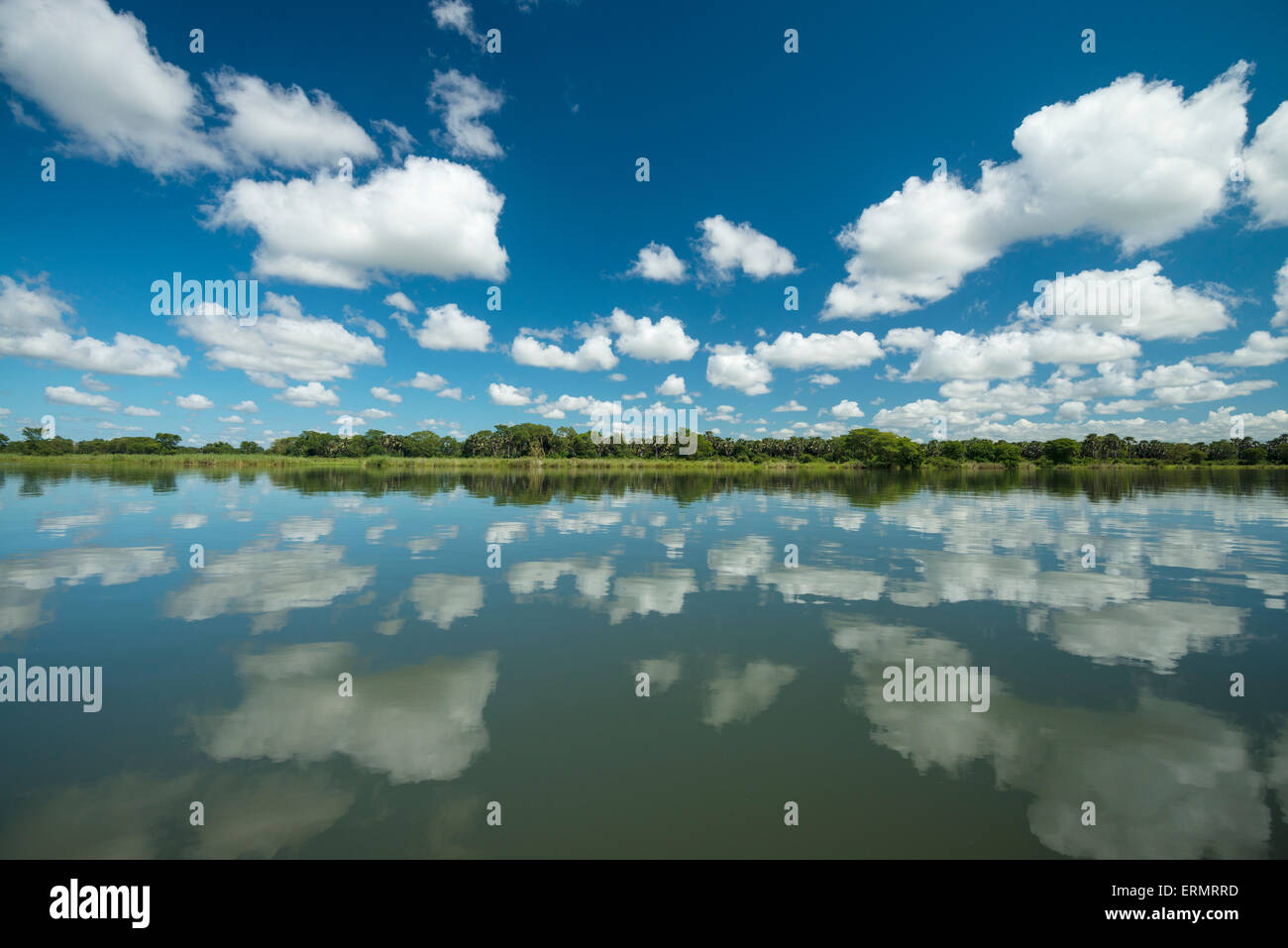 Reflections across the calm waters of the Shire River, Liwonde National ...