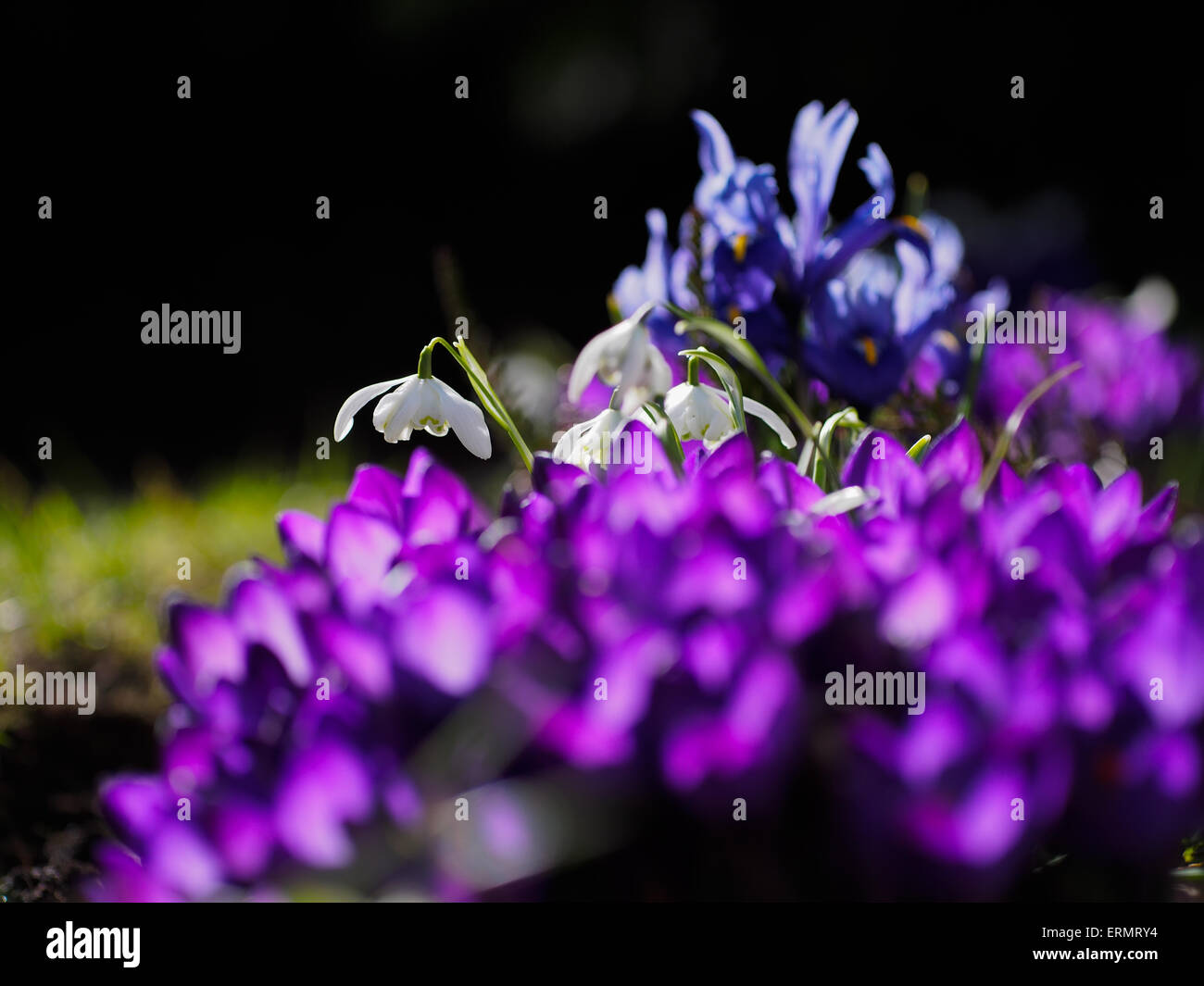 First taste hi-res stock photography and images - Alamy