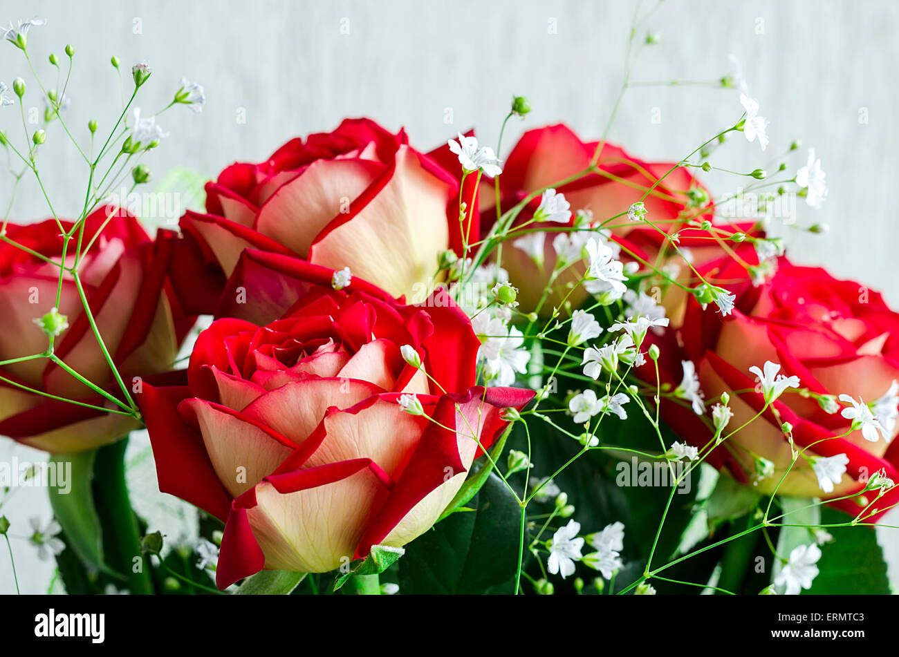 bouquet of roses background Stock Photo - Alamy