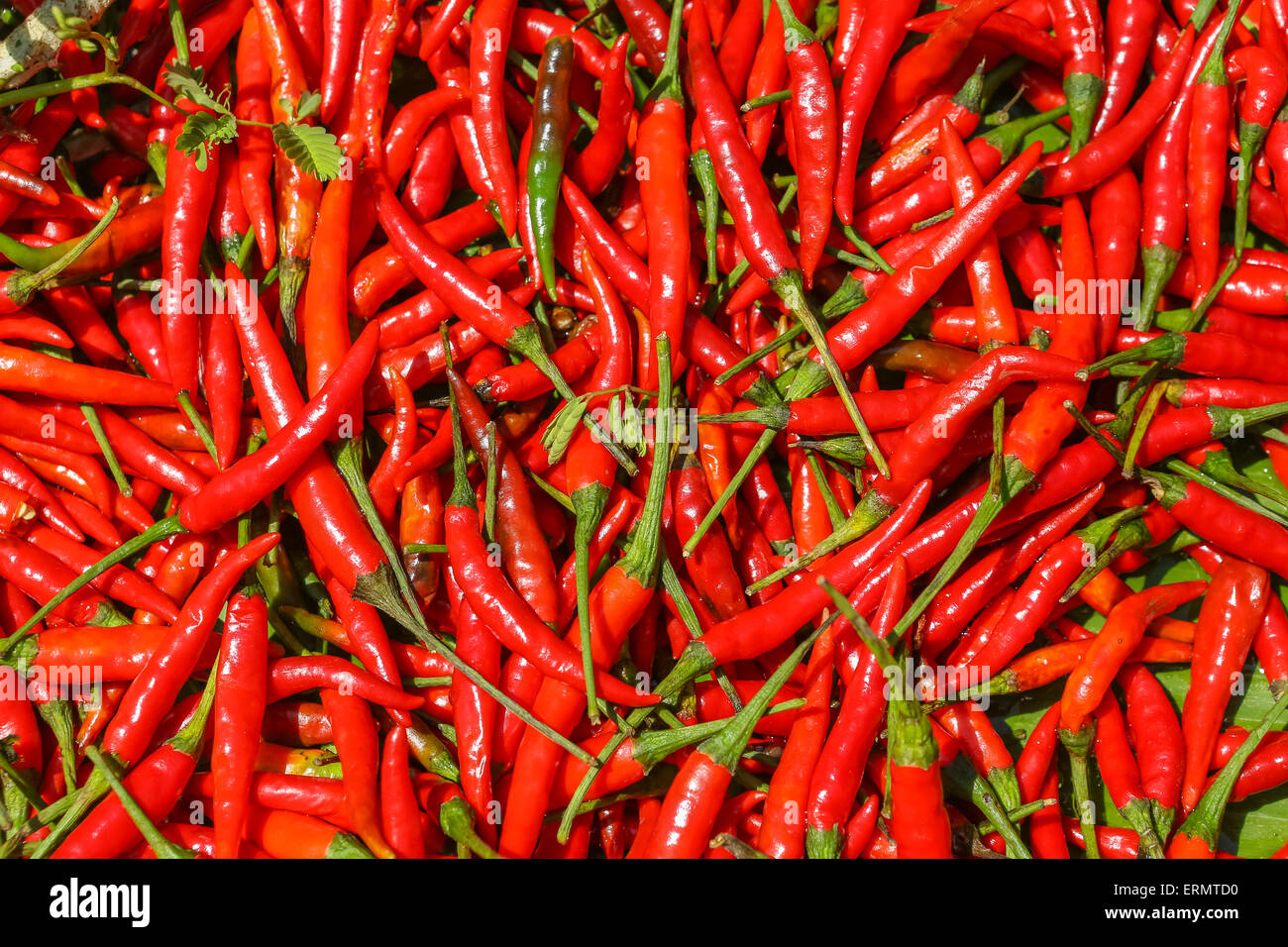 Red hot chili peppers, closeup view and texture Stock Photo - Alamy