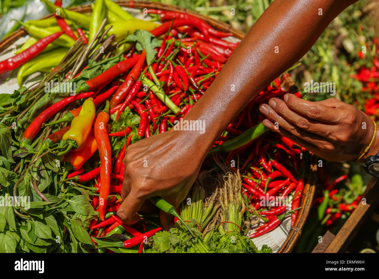 Red hot chili peppers, closeup view and texture Stock Photo - Alamy