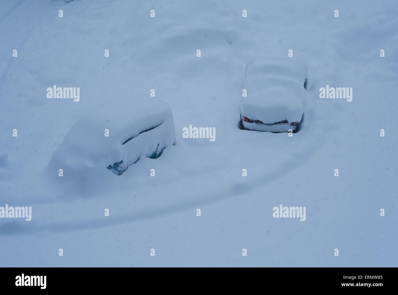 Vehicles covered in fresh, deep snow, Mt. Cook, New Zealand Stock Photo ...