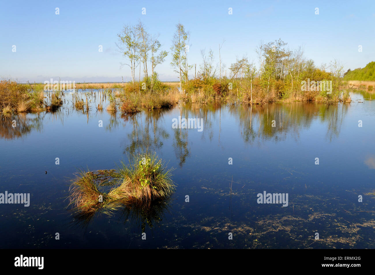 Lower moors nature reserve hi-res stock photography and images - Alamy