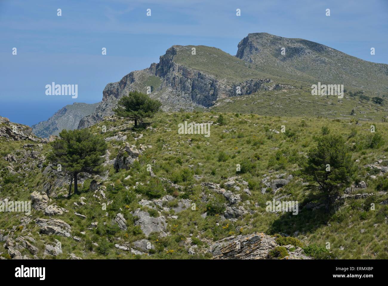 Parc natural peninsula de llevant hi-res stock photography and images ...