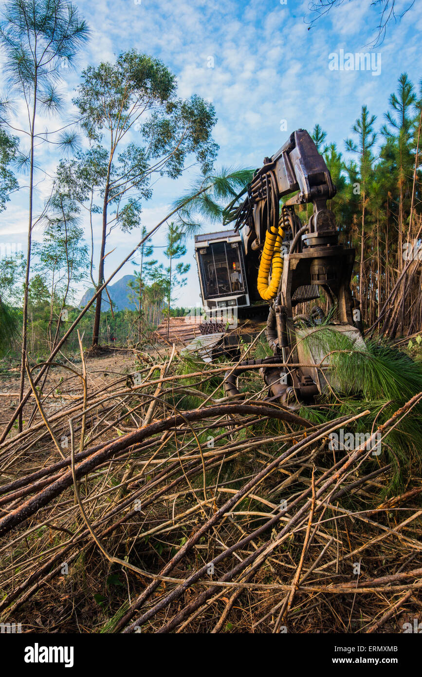 Forest harvesting hi-res stock photography and images - Alamy