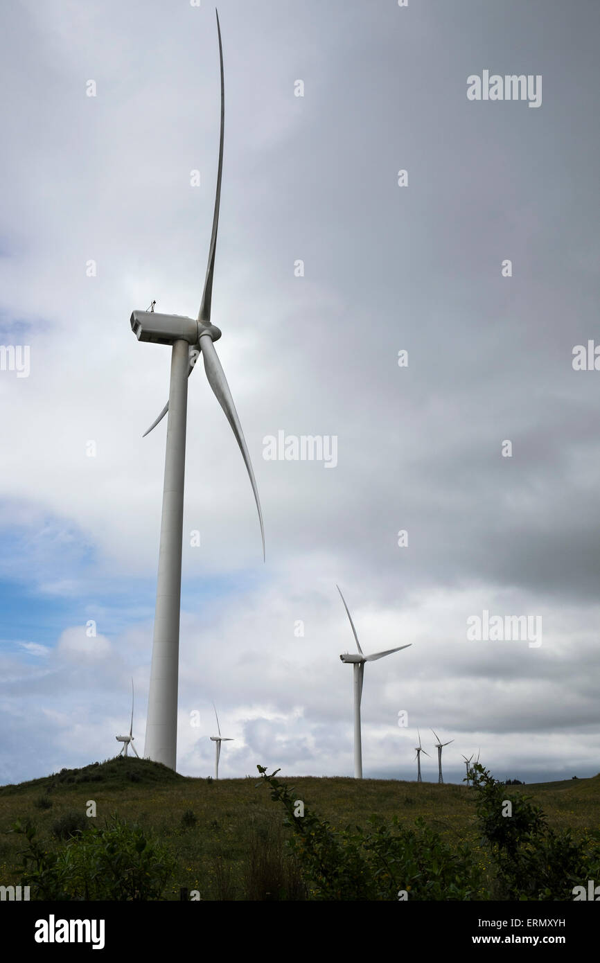 Turbines generating electricity at the Meridian Energy windfarm in Te ...