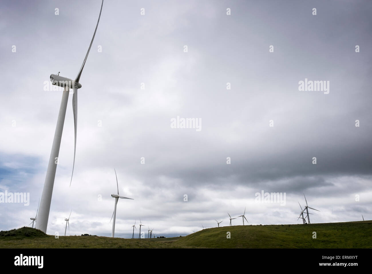 Turbines generating electricity at the Meridian Energy windfarm in Te ...