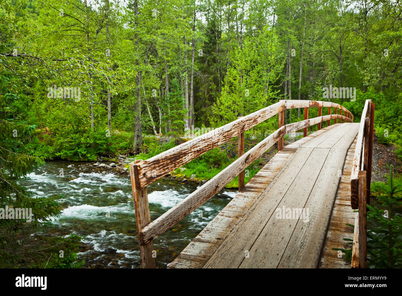 Resurrection Pass trailhead starts at the wooden bridge crossing ...