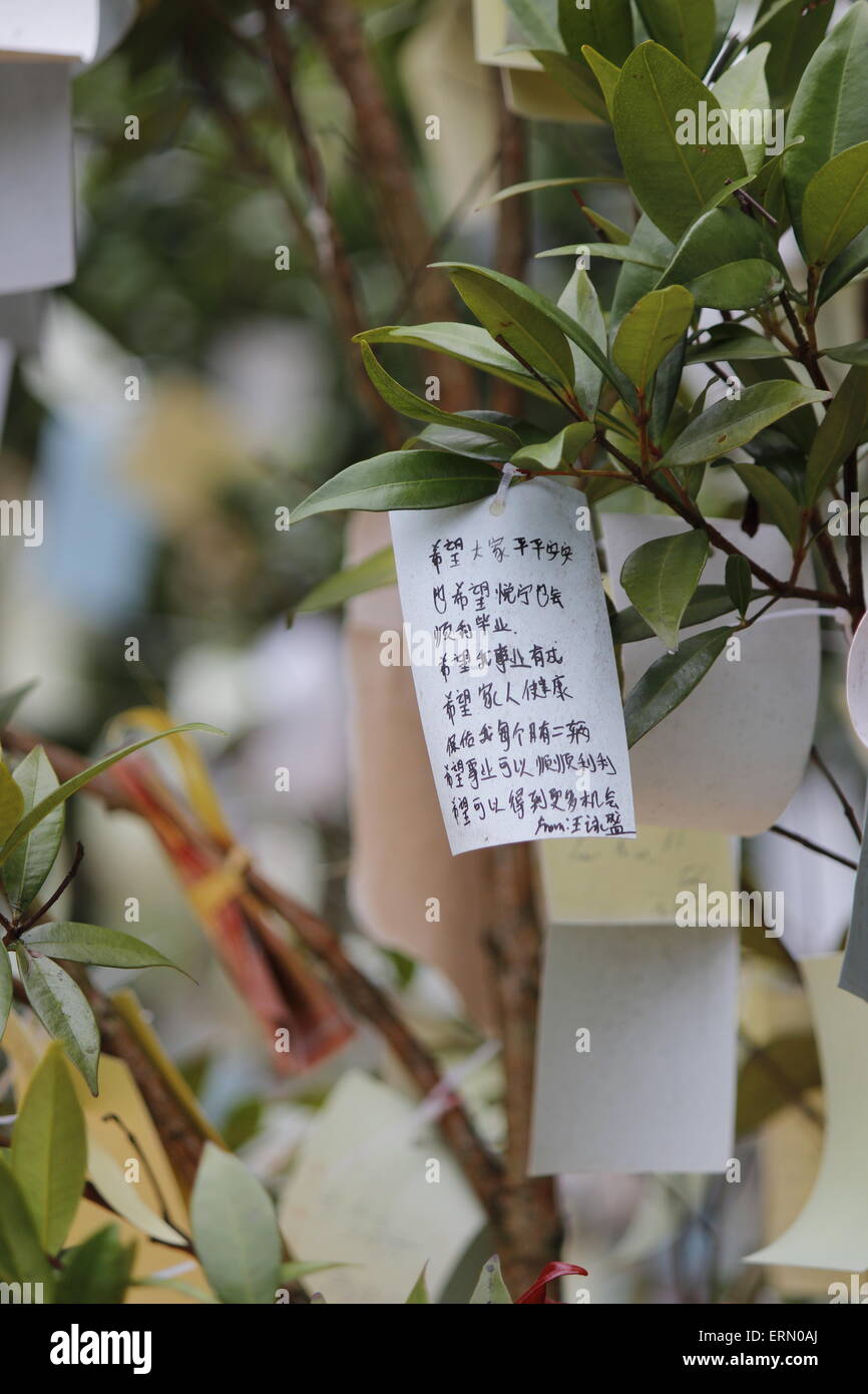 wishing paper hanging on wishing tree at Chinese temple Stock Photo - Alamy