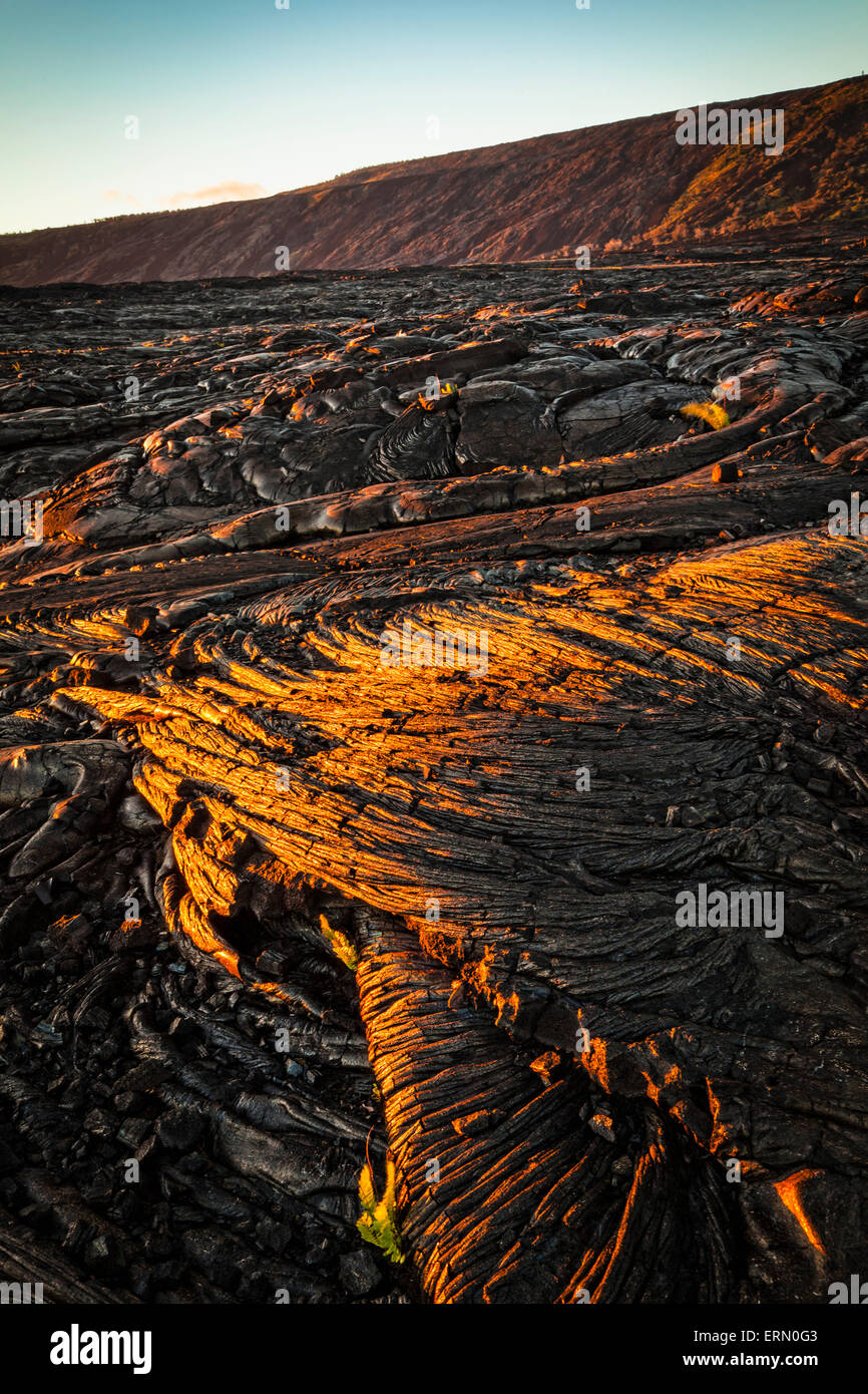 Setting sun light on lava field, Hawaii Volcanoes National Park; Island ...